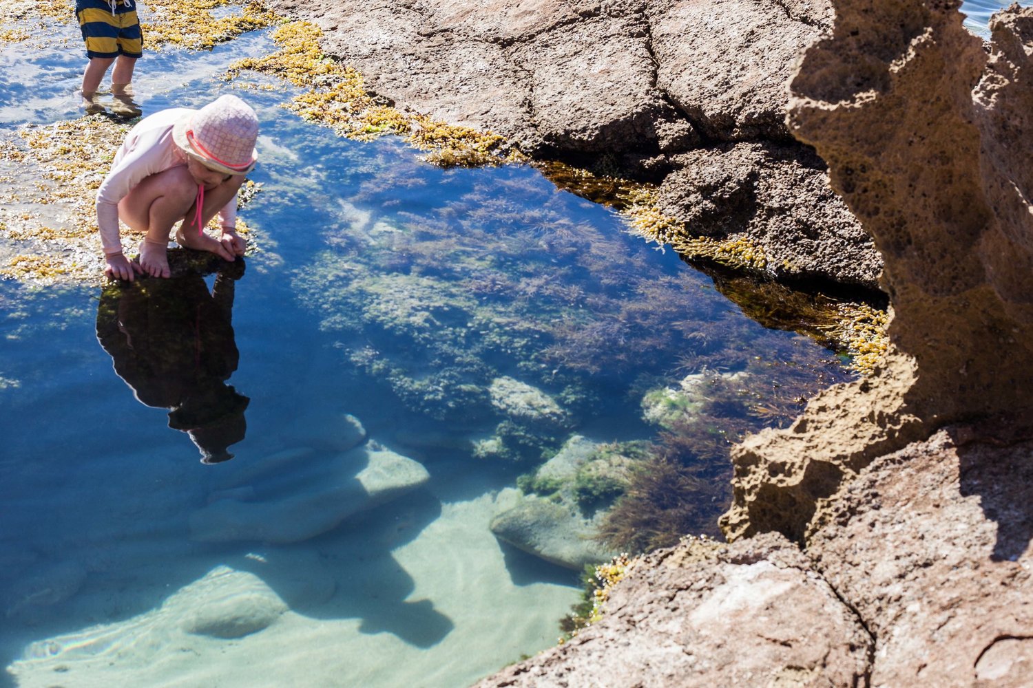 Explore a rock pool - Beach Safety Hub